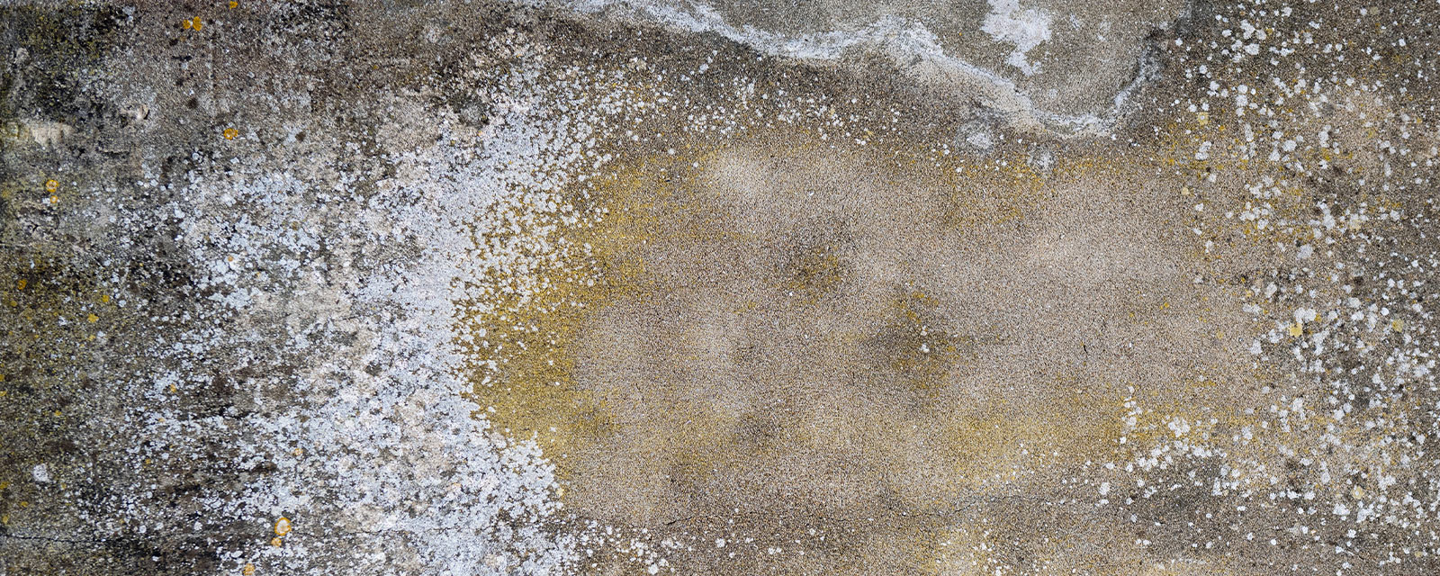 L’efflorescence, qu’est-ce que c’est ? Causes et solutions | Guide Artisan